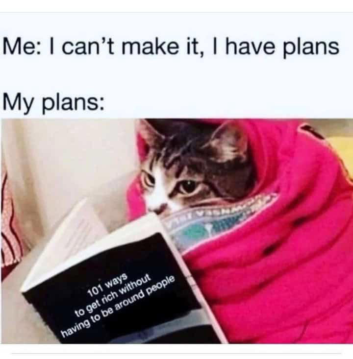 34 Hilarious Introvert Memes For "Lone Wolves" Who Are Actually Indoor Cats