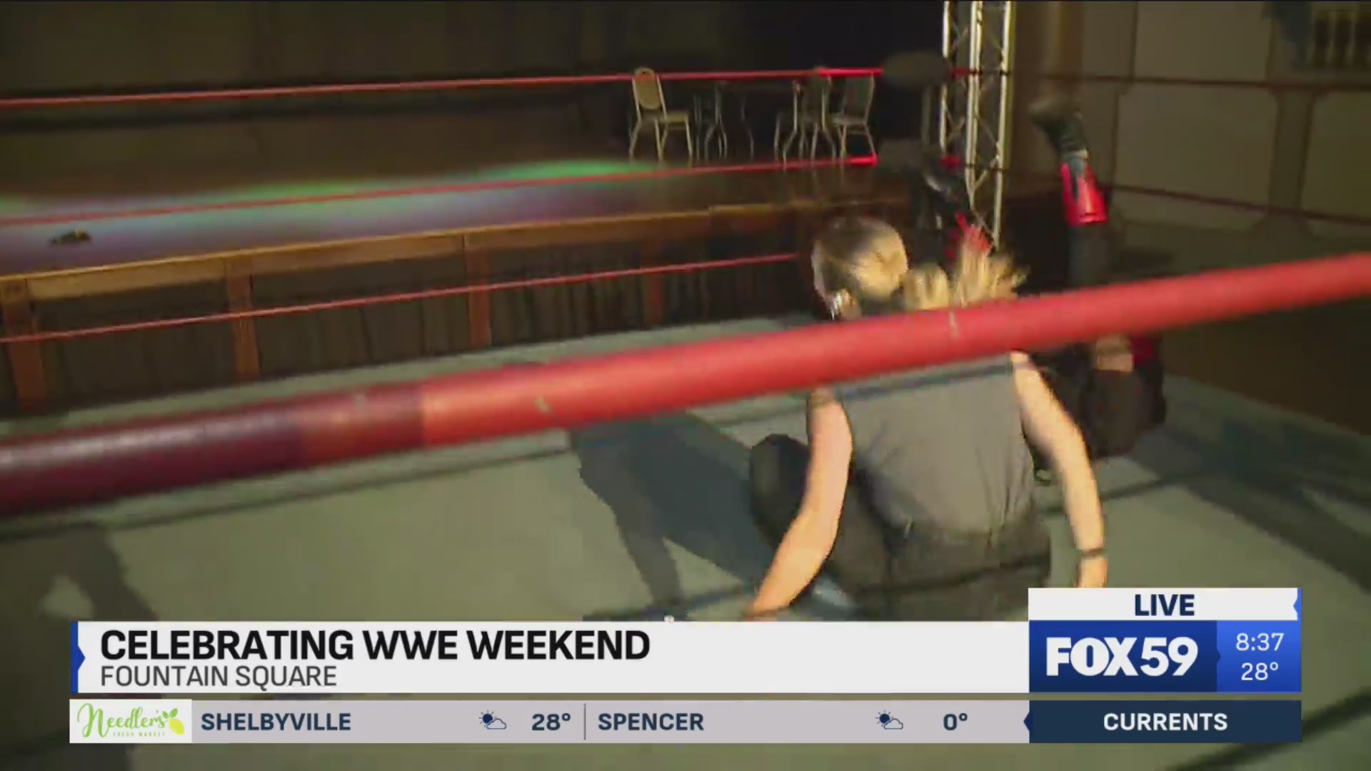 FOX59's Kit Hanley royal smackdown moment