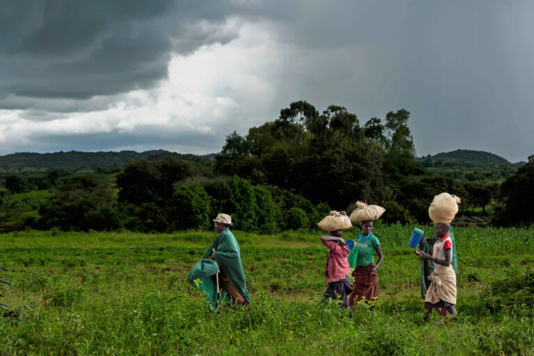 How conservation NGOs can put human rights principles into practice ...