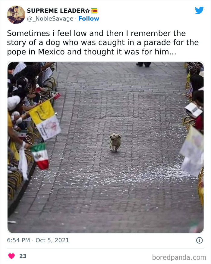 42 Hilarious Memes That Combine The Internet’s Two Most Favorite Things ...