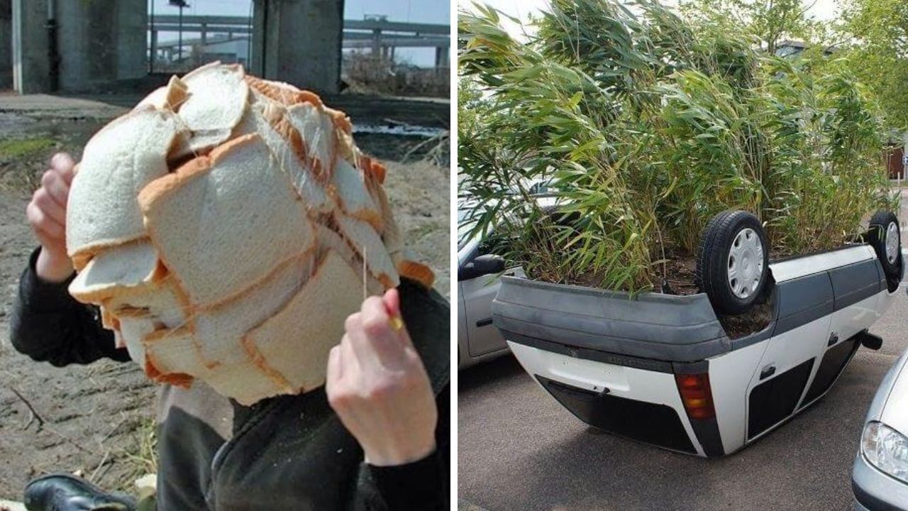 52 Weirdly Fascinating Photos That Will Amaze You