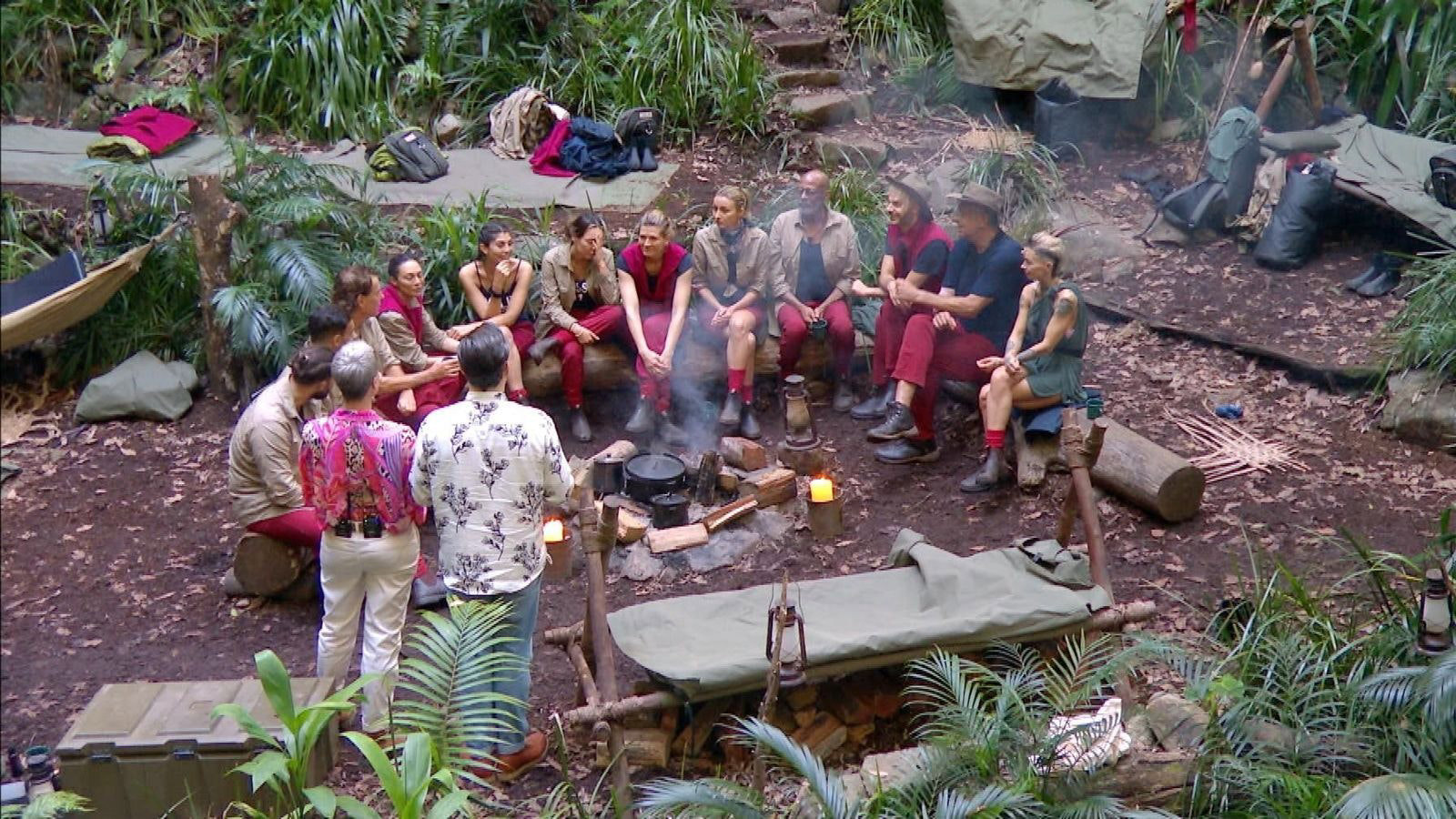 Dschungelcamp-Analyse: Jetzt ist es so weit: Dieser Promi muss die RTL ... Dschungelcamp-Analyse: Jetzt ist es so weit: Dieser Promi muss die RTL ...