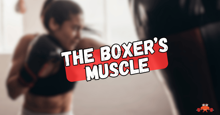 The Boxer’s Muscle: Why Lifters Should Prioritize Serratus Anterior ...