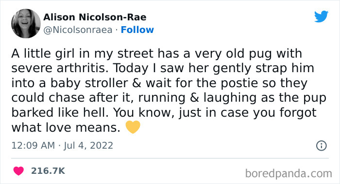 42 Hilarious Memes That Combine The Internet’s Two Most Favorite Things ...