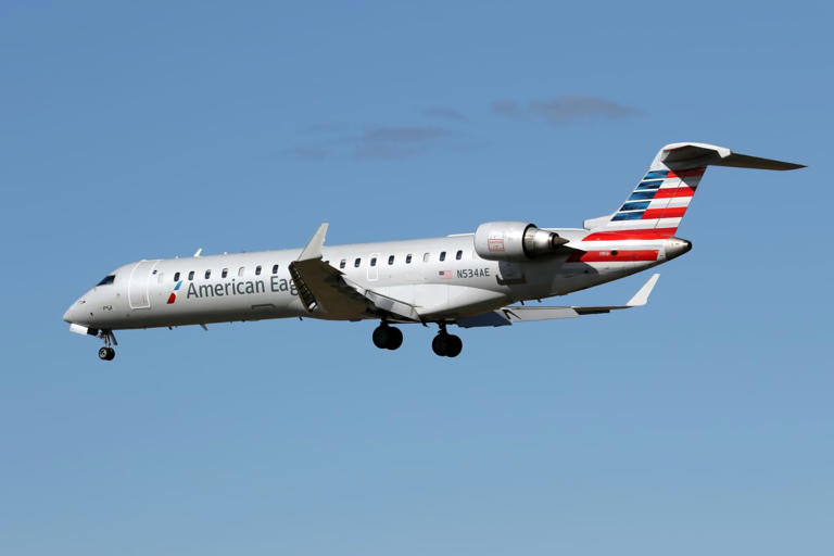 Is It Safe? Everything to Know About the Plane Involved in the D.C. Crash.