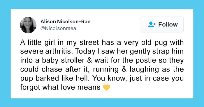 42 Hilarious Memes That Combine The Internet’s Two Most Favorite Things ...