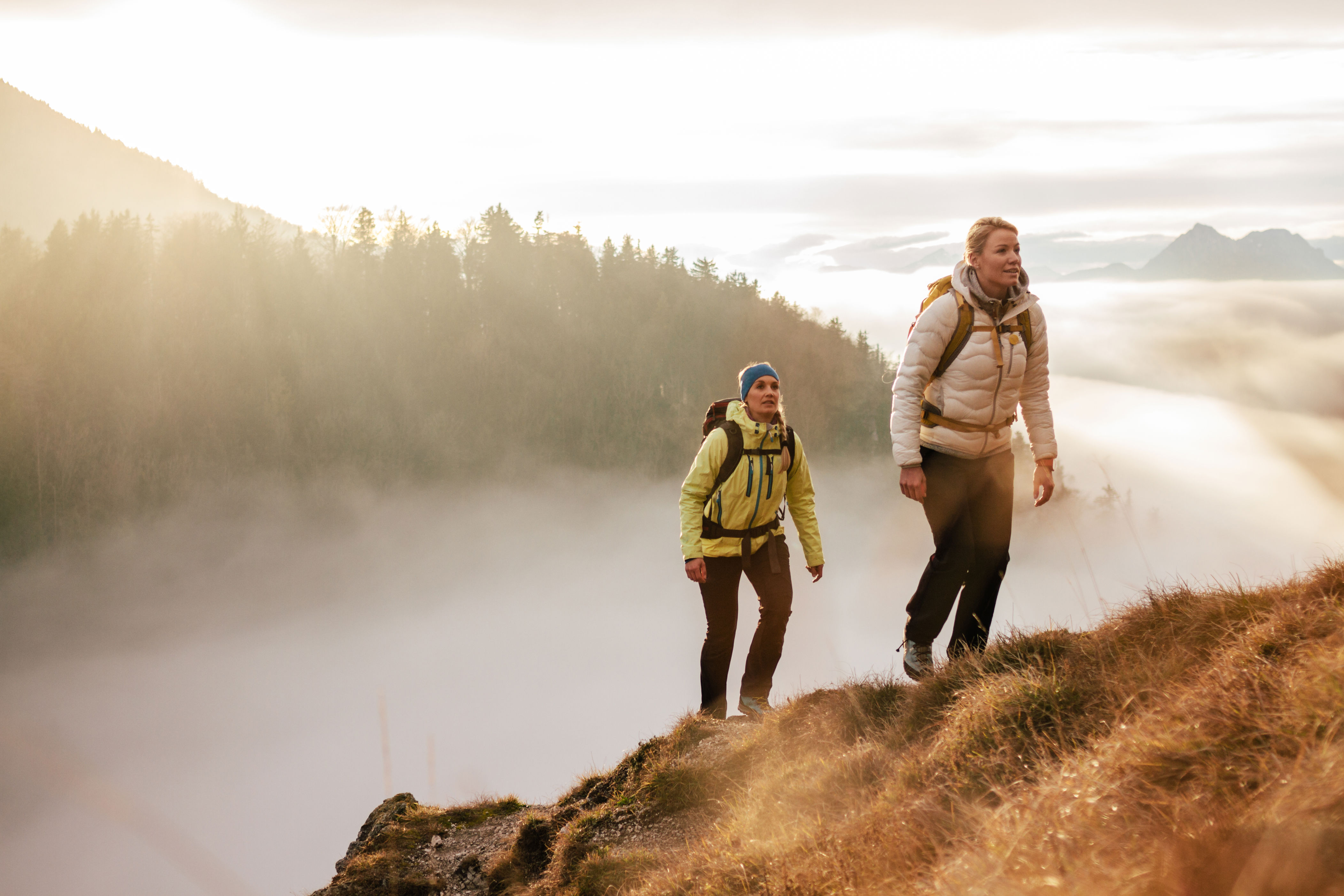 Entra a Hotmail, Outlook, Skype, noticias en español y más en MSN Latino