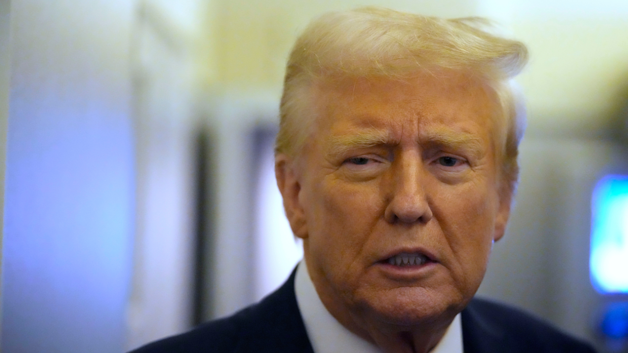 Did Trump Fire FAA Director Mike Whitaker Days Before DC Crash? Fact ...