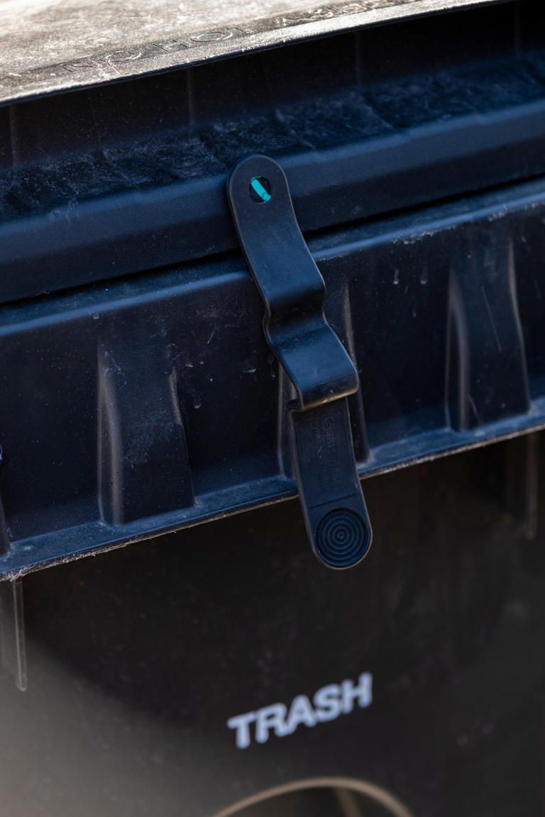 Rodents apparently gnaw through dense ‘rat-proof’ trash bins mandated ...