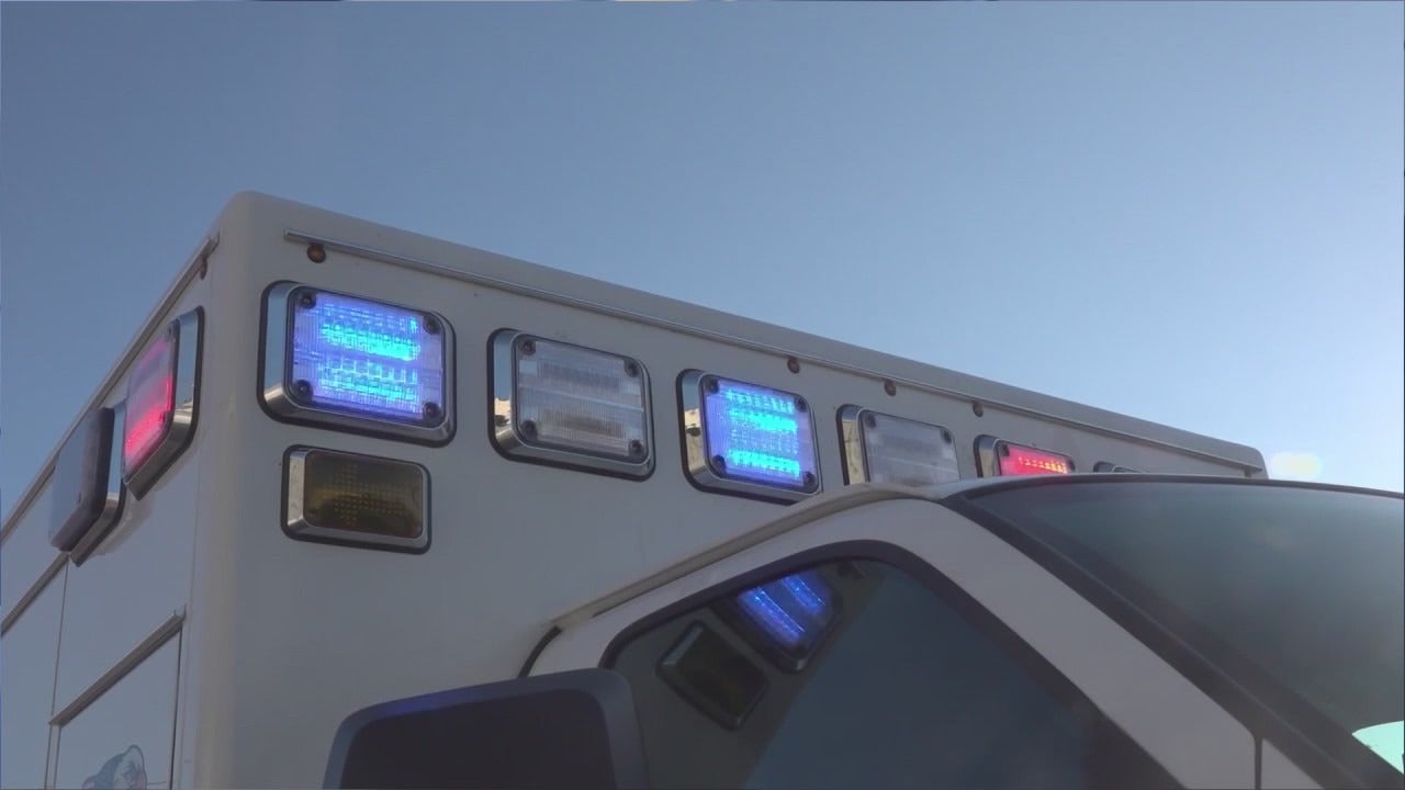 Suburban Chicago man shot while confronting car burglars, police say