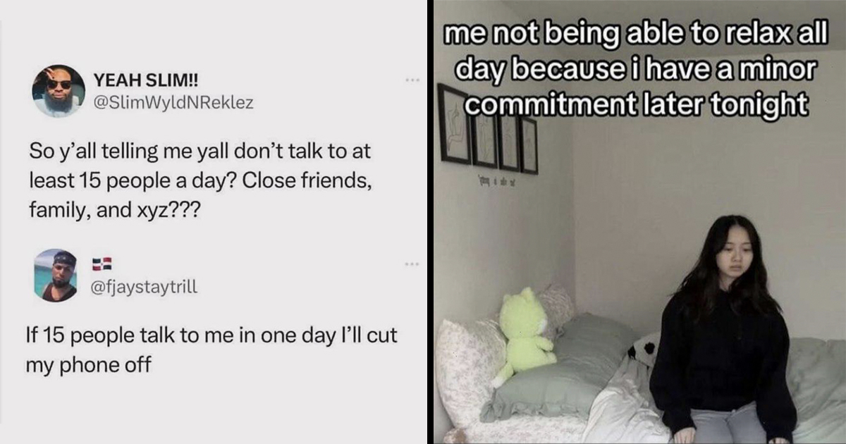 34 Hilarious Introvert Memes For "Lone Wolves" Who Are Actually Indoor Cats