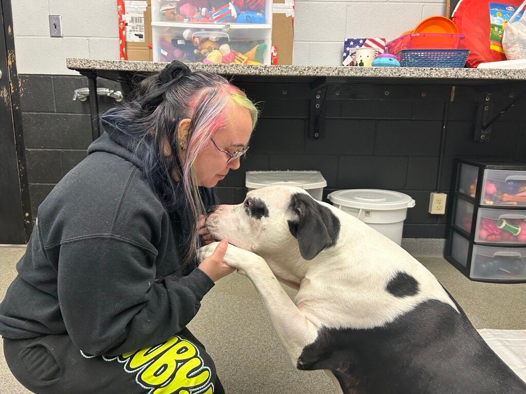 Anonymous donor helps change the lives of local shelter dogs