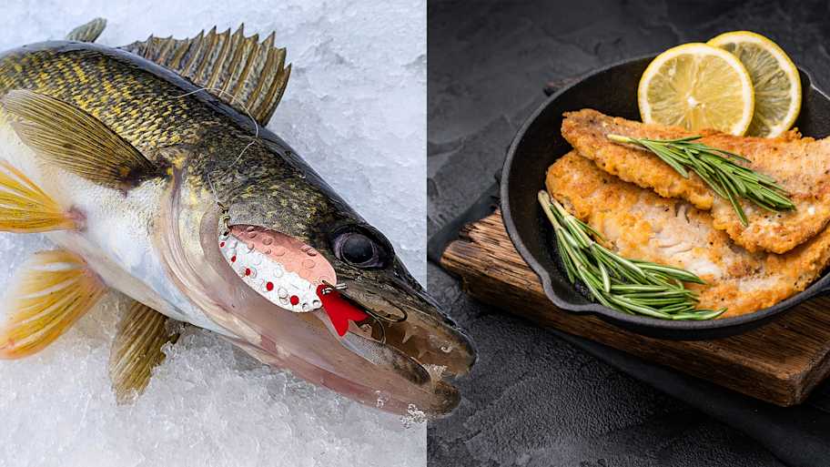 Beyond the Fillet Cleaning Guide: How to Maximize Every Bite of Your ...