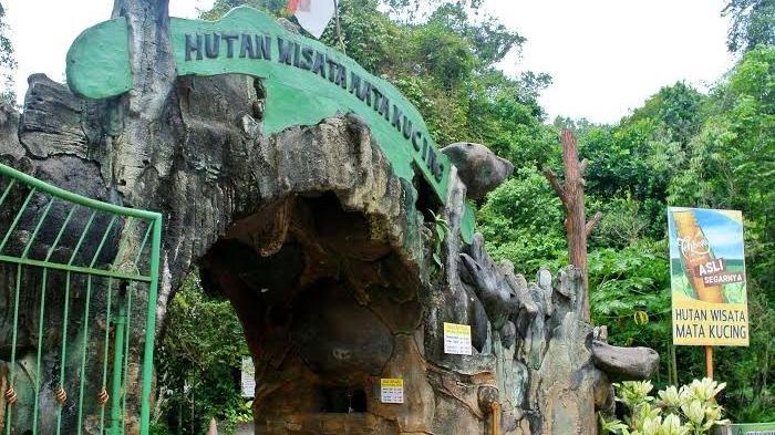 Hutan Mata Kucing, Tempat Wisata di Sekupang, Batam, Kepri, Cocok untuk ...