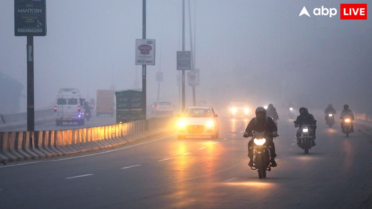 Winter Is Not Over. IMD Forecasts Fog, Rain In Delhi, UP, Bihar ...