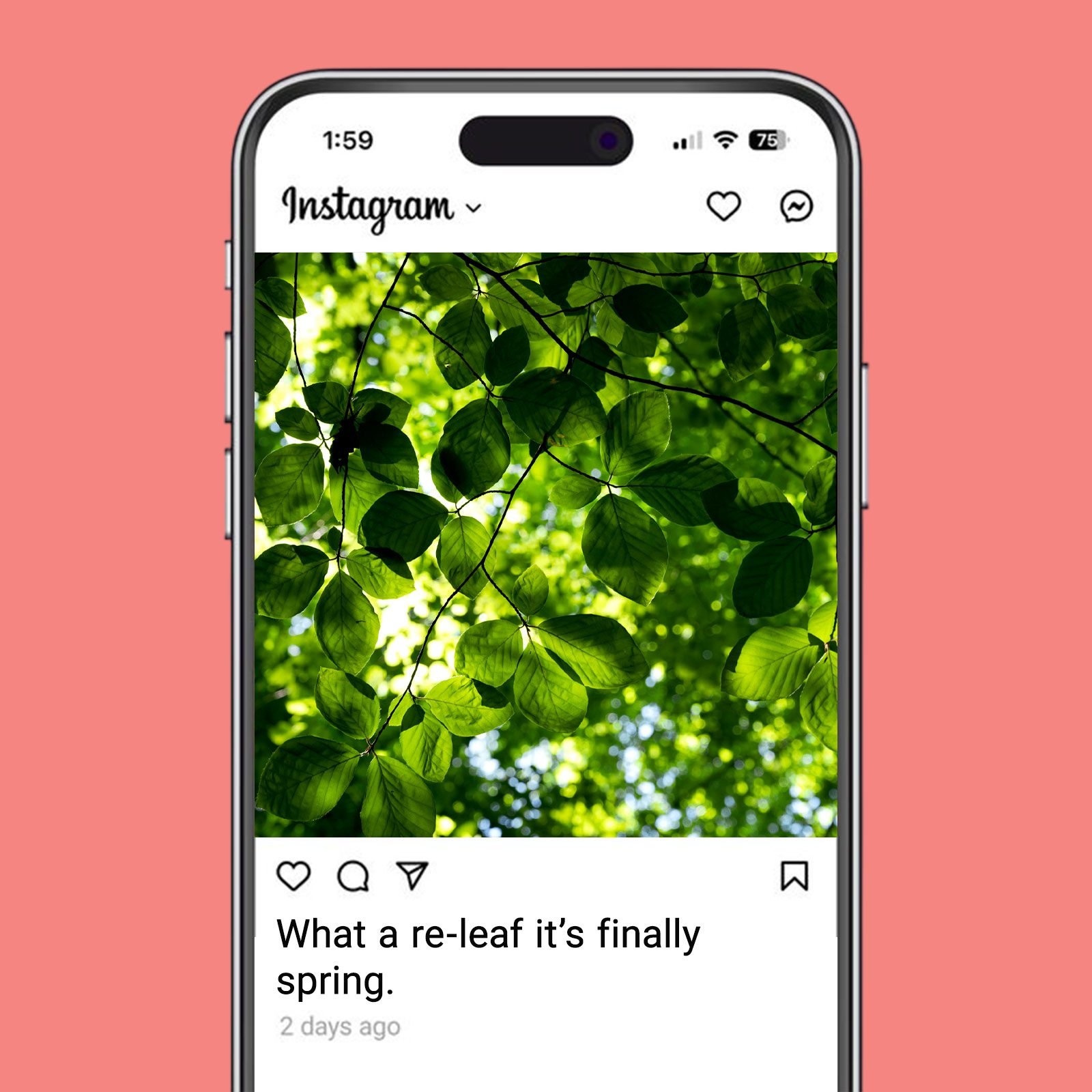 101 spring captions that will make your posts pop