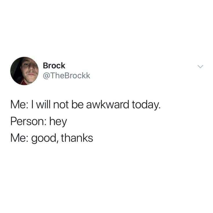 34 Hilarious Introvert Memes For "Lone Wolves" Who Are Actually Indoor Cats