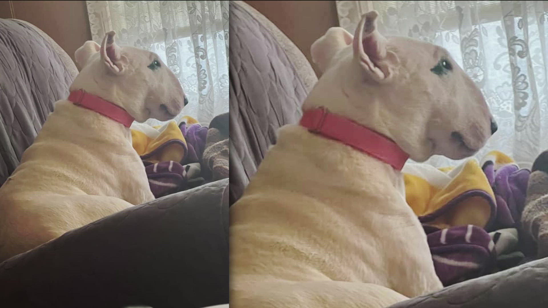 Your Good News: Angela Paggen, Terry Daniel, Jeannie Monroe-Halvorson