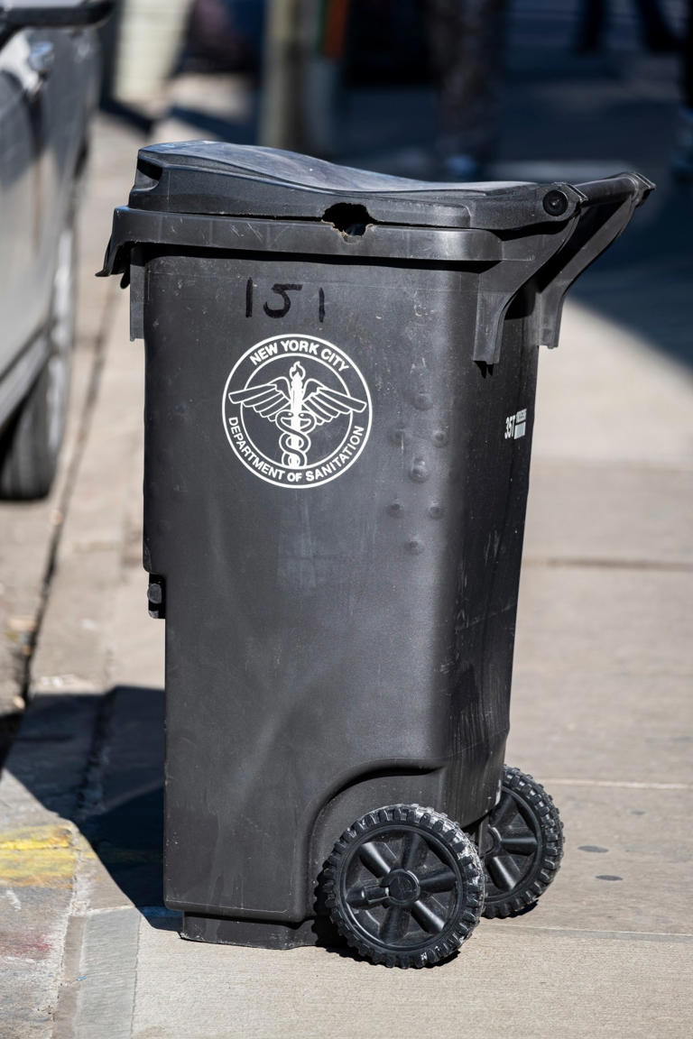 Rodents apparently gnaw through dense ‘rat-proof’ trash bins mandated ...