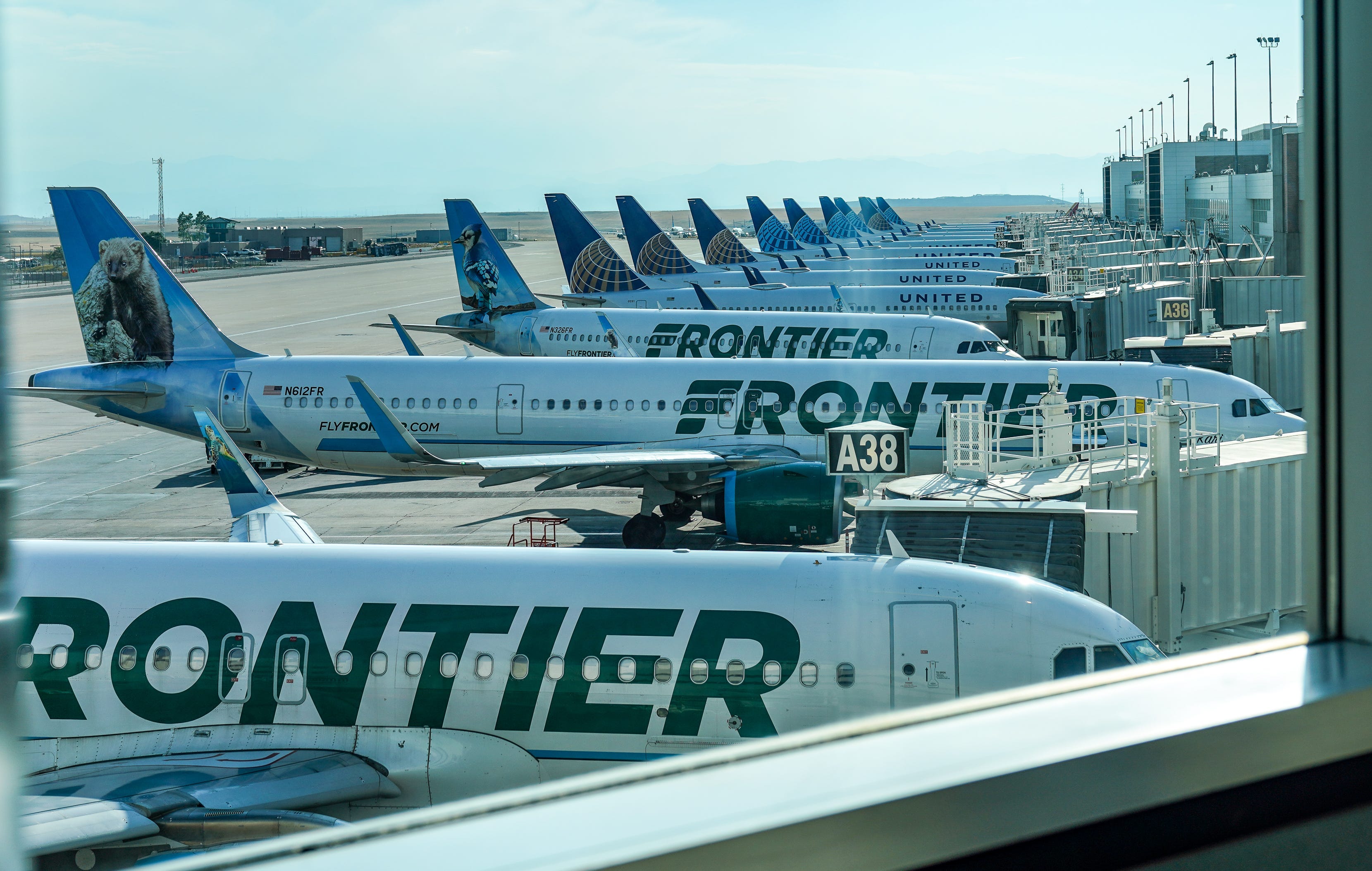 IT outage causes brief ground stop for Frontier Airlines flights