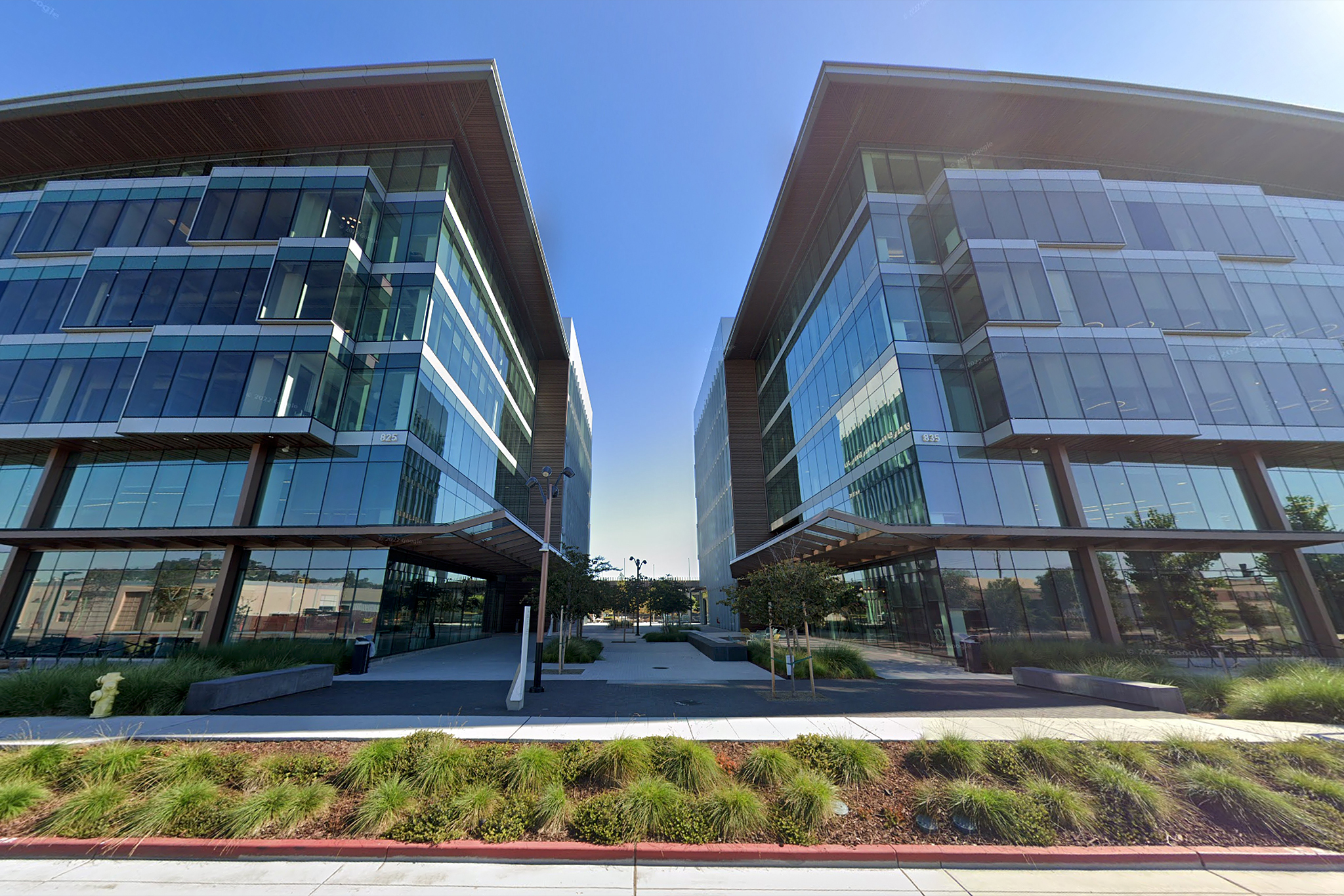 Bay Area biotech firm guts staff, shuts trial after dangerous side effects