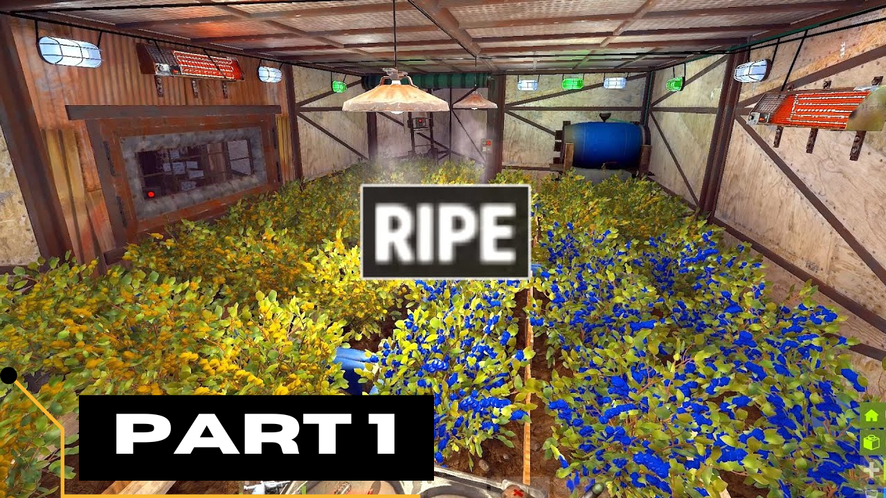 I Turned Berries into Rockets Without Touching a Node Epic Rust Auto ...