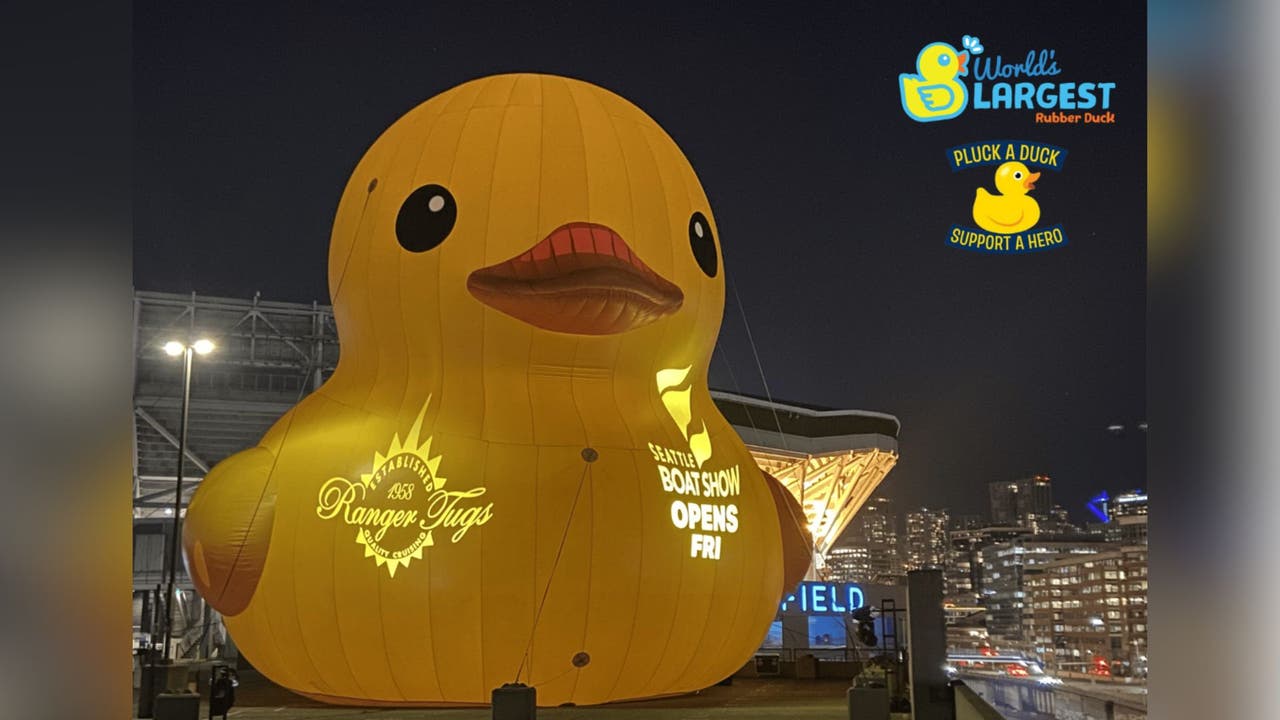 Here's why there's a giant rubber duck in Seattle