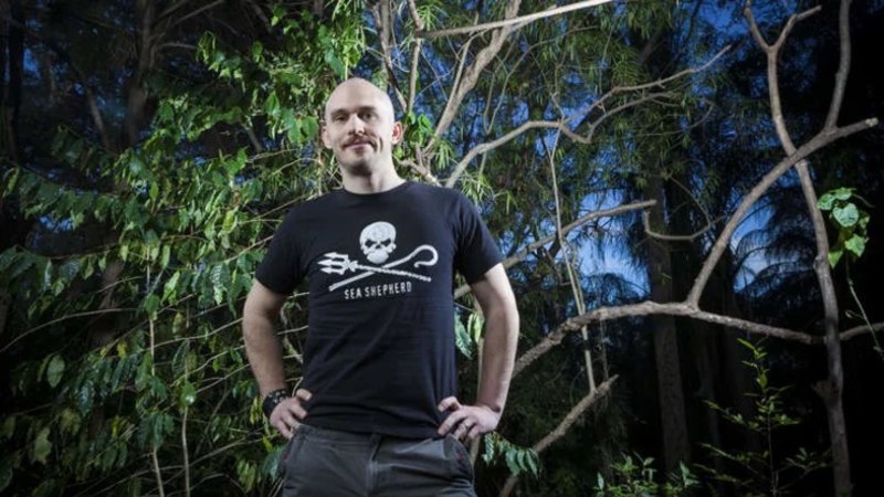 Subtropical Suspense in the Queensland capital