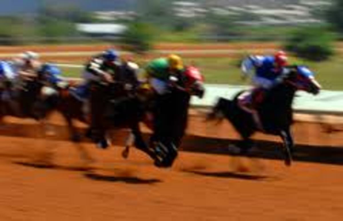 AQHA chief racing officer: 'Change is inevitable to safeguard the horses'