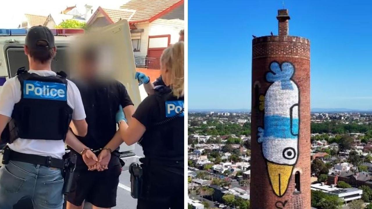 Alleged ‘Pam the Bird’ graffiti artist named