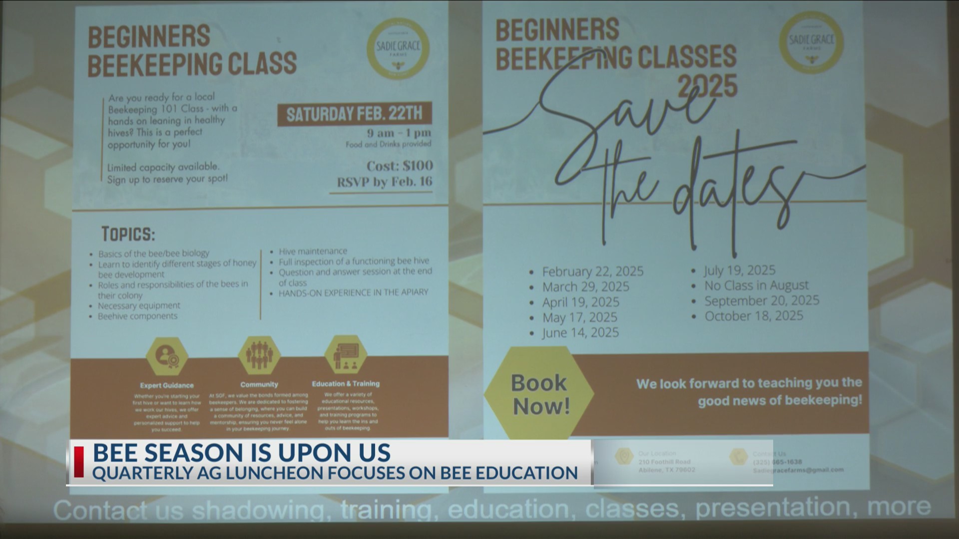 Abilene beekeeper shares the sting: Health benefits, bee safety & why ...