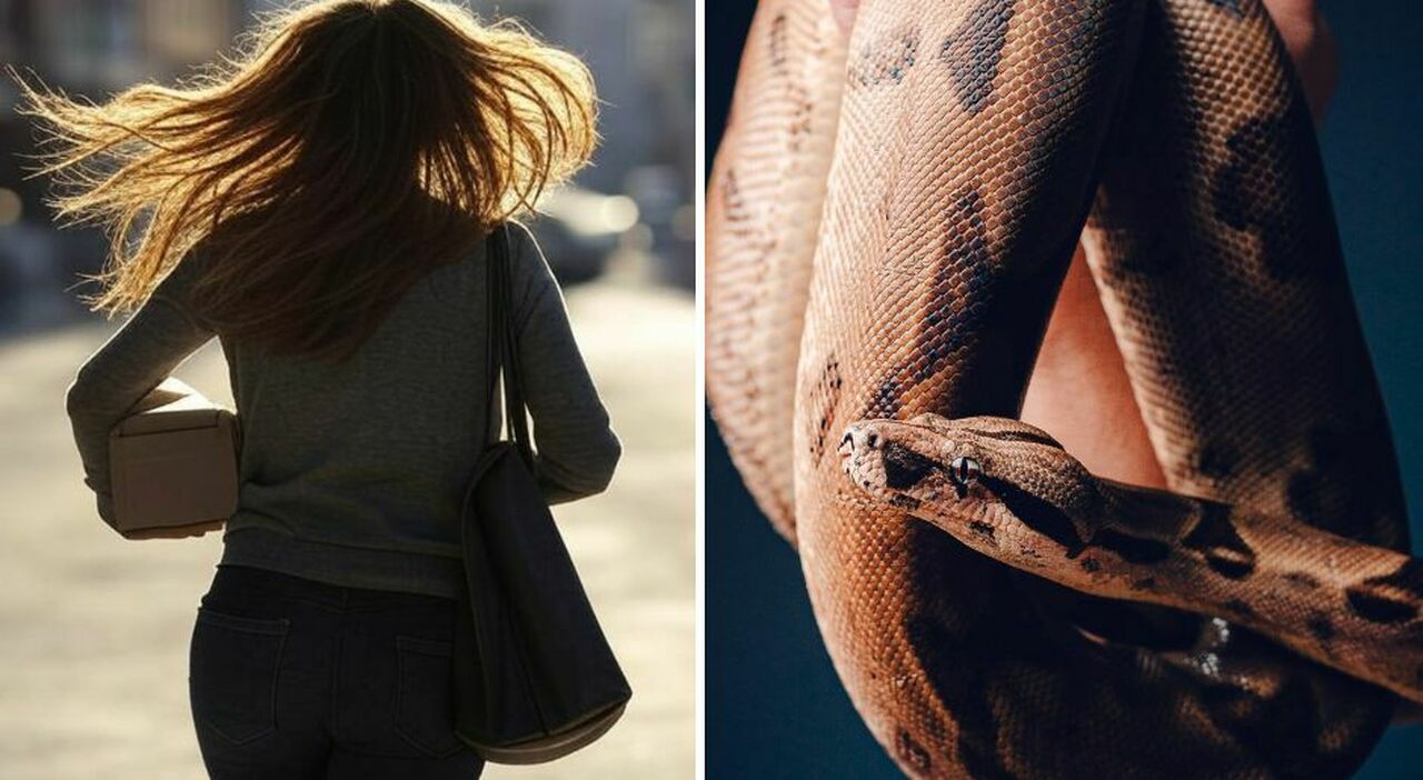 Ruba un pacco e fugge, poi "sfodera" un boa per intimidire la donna che l'aveva inseguita. In ...