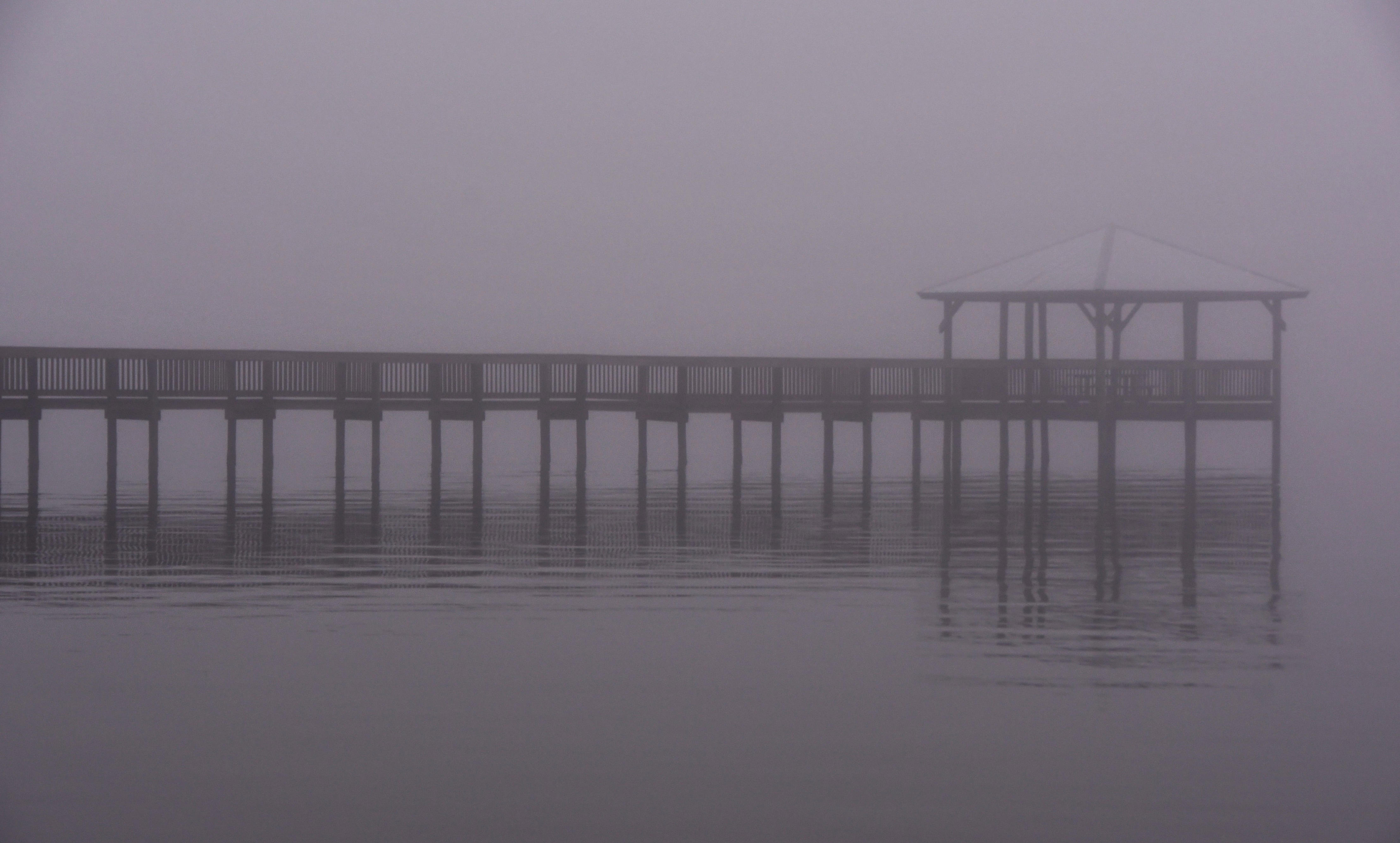 Fishing in fog not so bad, it turns out. Reds, snook on prowl with ...