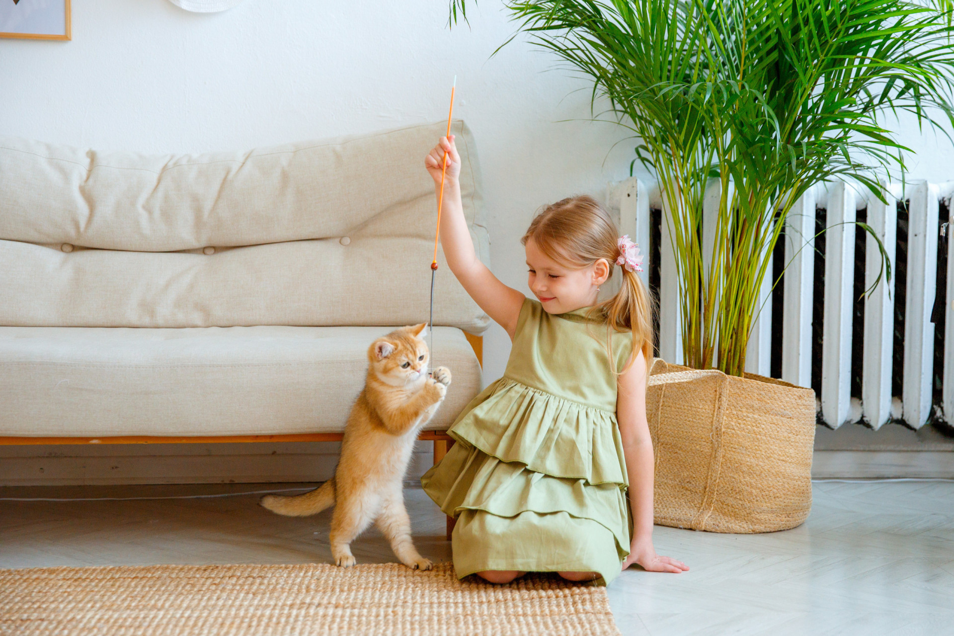 Do cats really outsmart babies? New study weighs in