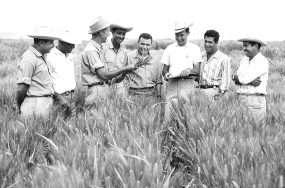 Decades of agricultural innovation has delivered a triple win: more ...