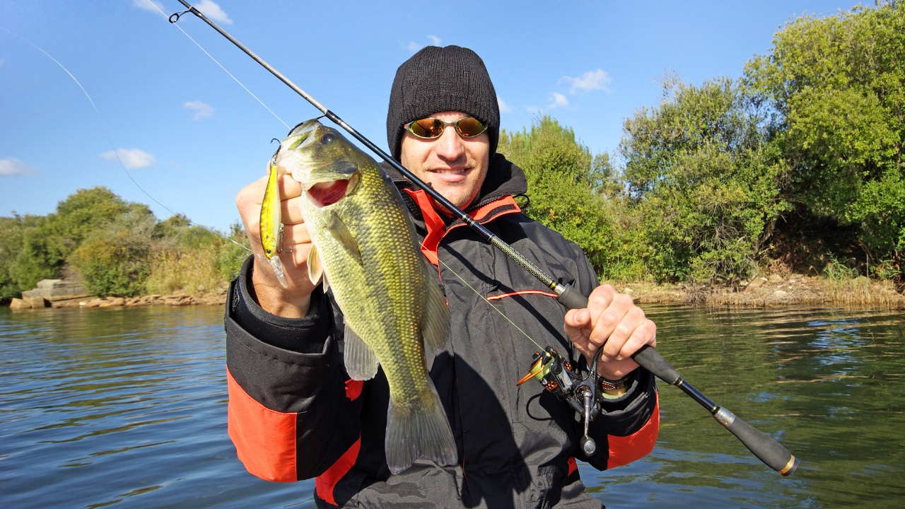 8 Of The Best Bass Fishing Rods