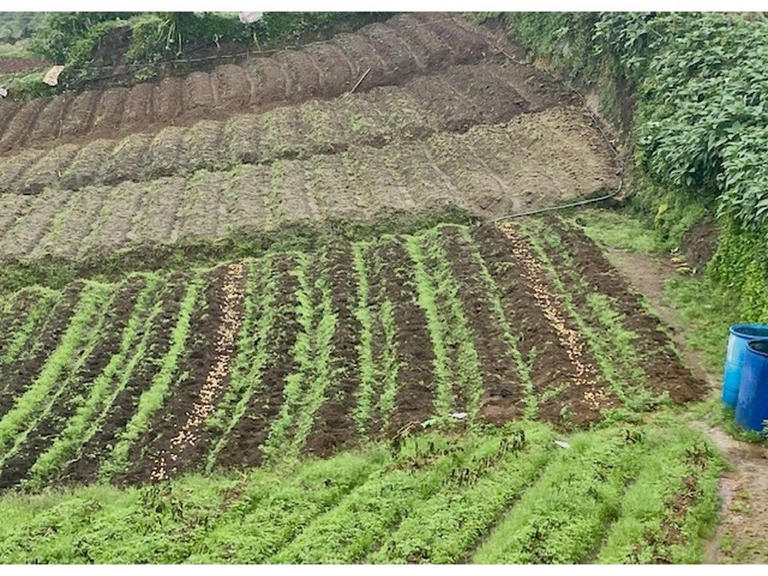 P.E.I. delegation visits Philippines and Indonesia