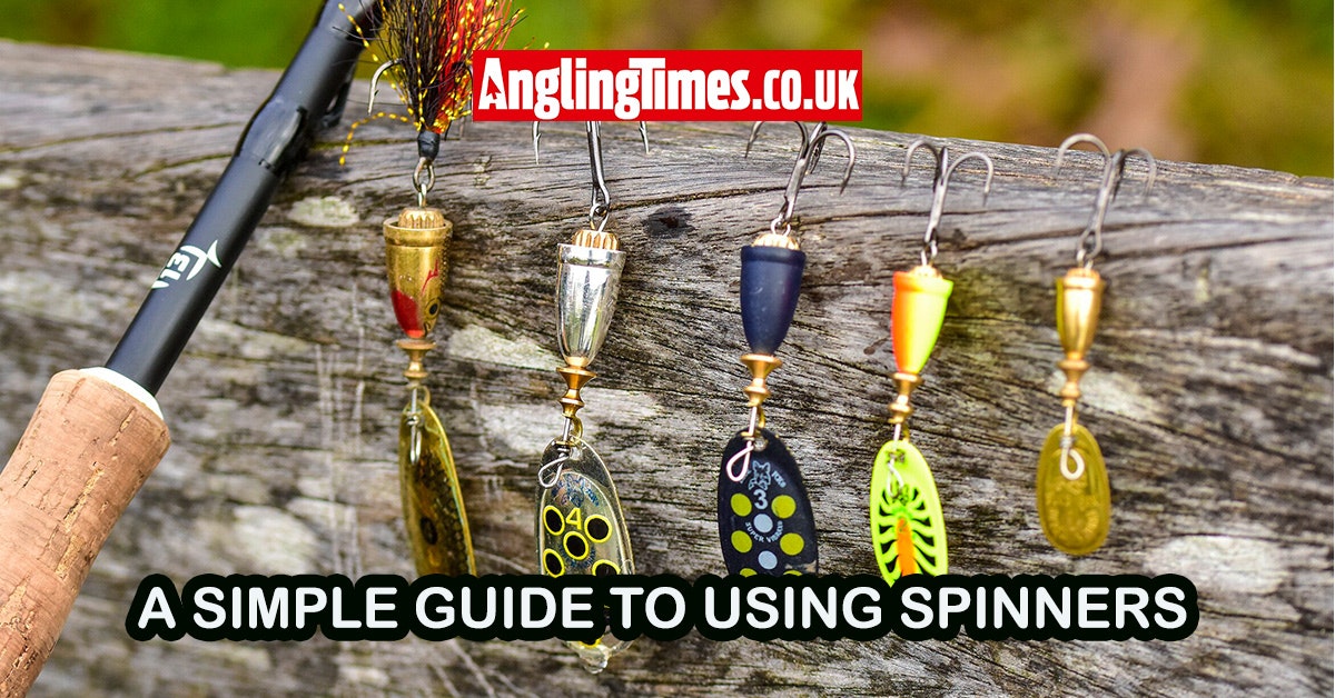 Fishing with spinners: A beginners guide