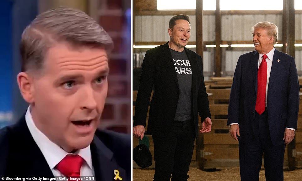 Wie kam es zum Begriff "Katzenfrau"?