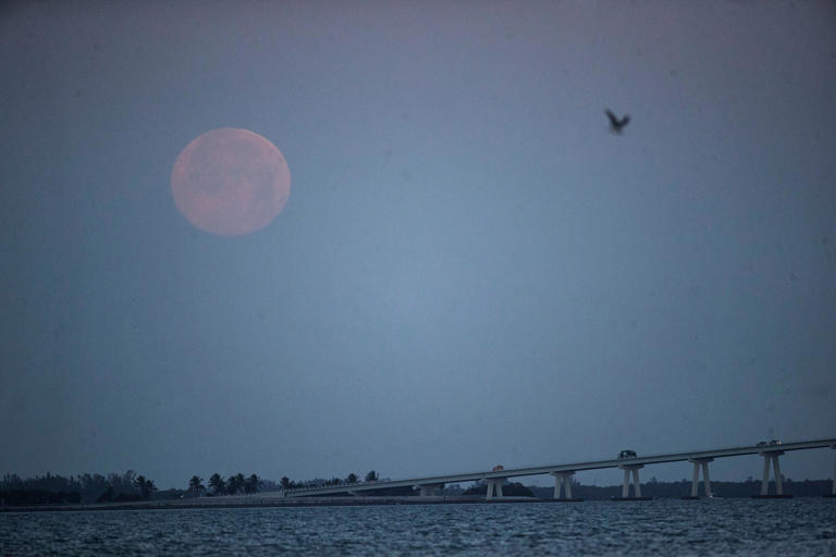 Snow Moon is the next full moon. When, how to see in Florida