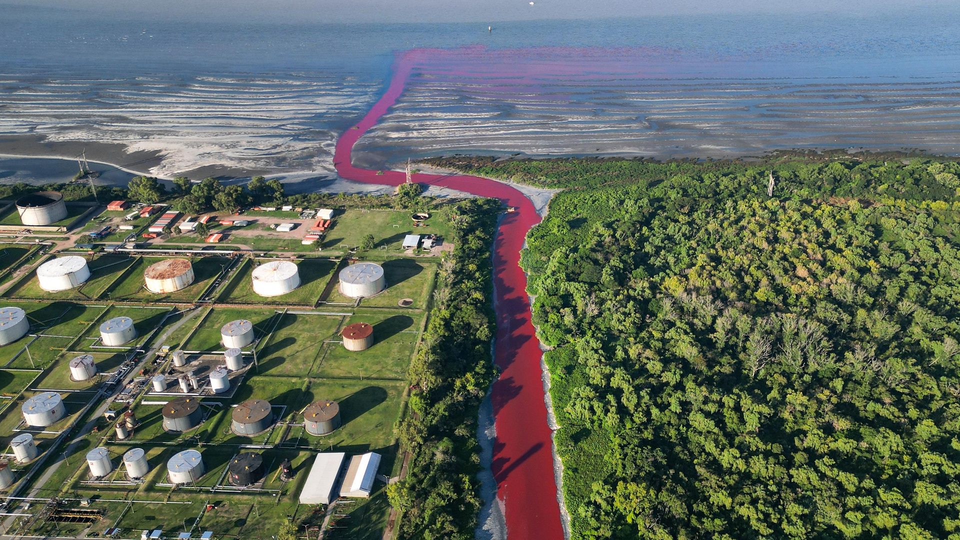 Watch: Argentina canal turns bright red, alarming locals