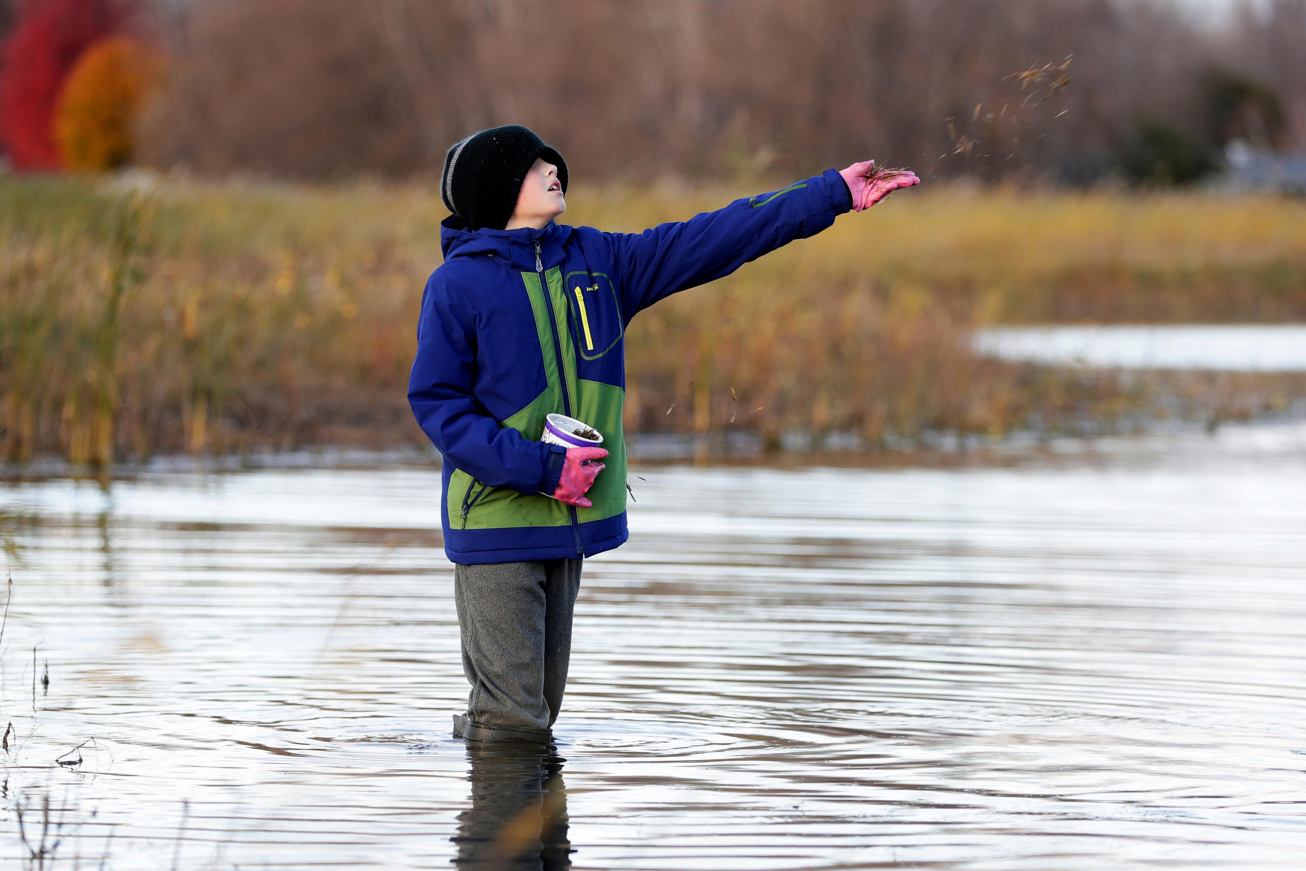 Green Bay to restore nearly 40 acres of habitat next to bay; total cost estimated at $2.75 million