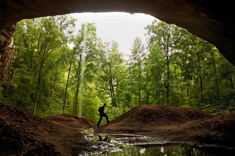 Dozens of U.S. Forest Service workers in Daniel Boone National Forest ...