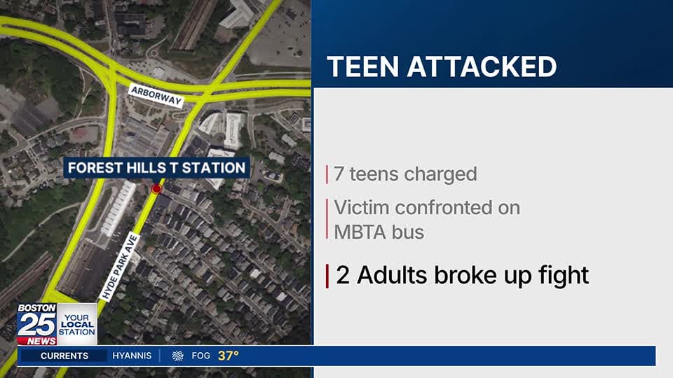 ‘Vicious’: 7 youths face assault charges for attacking 13-year-old boy ...