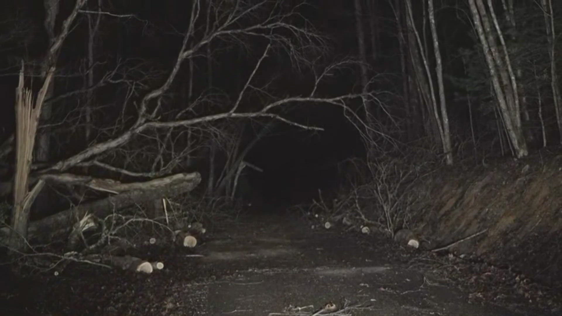 Morgan County sees severe damage after tornado touchdown