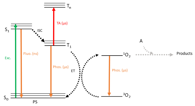 Studying Triplet States and Singlet Oxygen Generation in Photosensitizers
