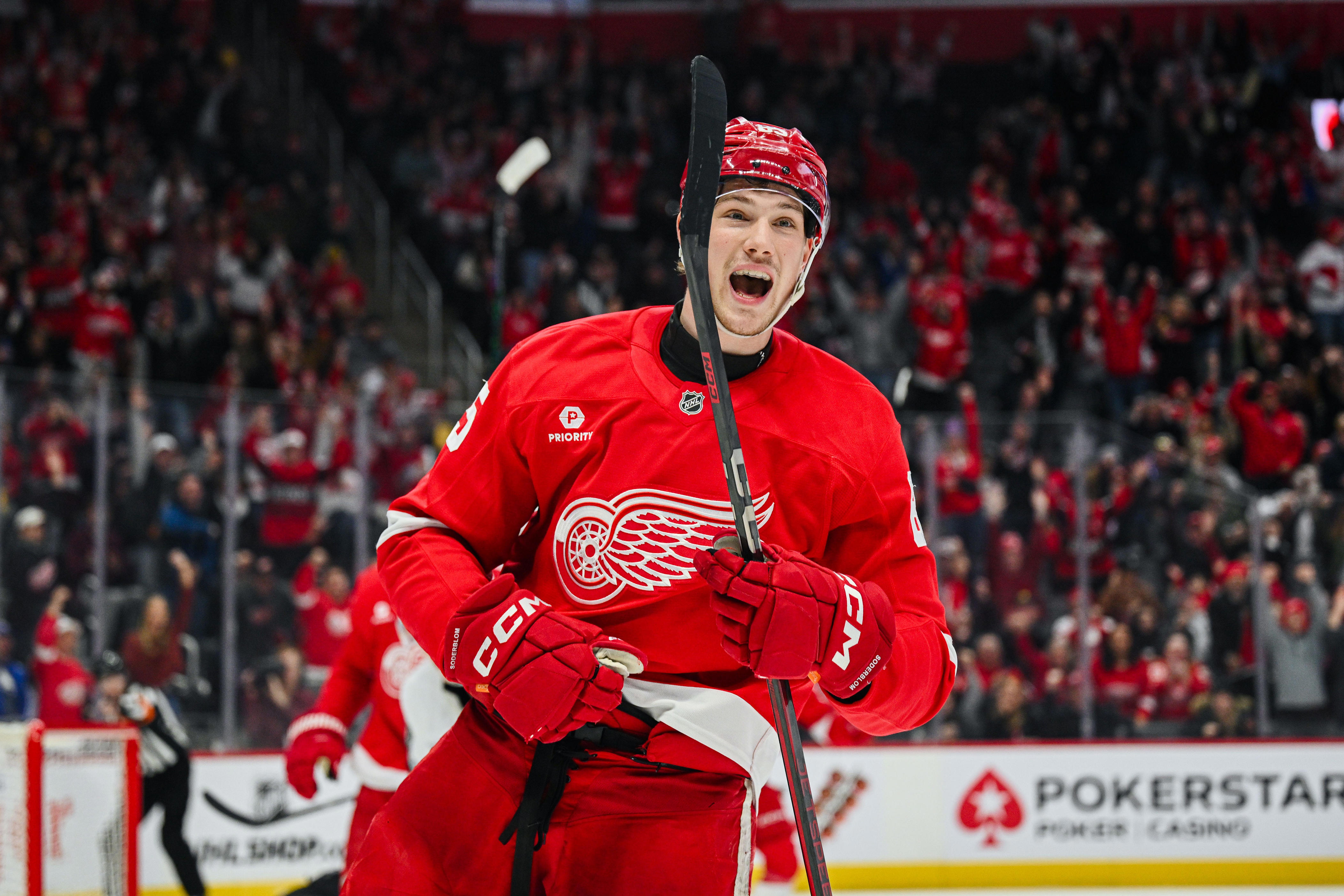 Detroit Red Wings sum up Elmer Söderblom: 'Big man with good hands ...