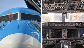 Boeing 737 plane makes emergency landing after swans smash into windscreen