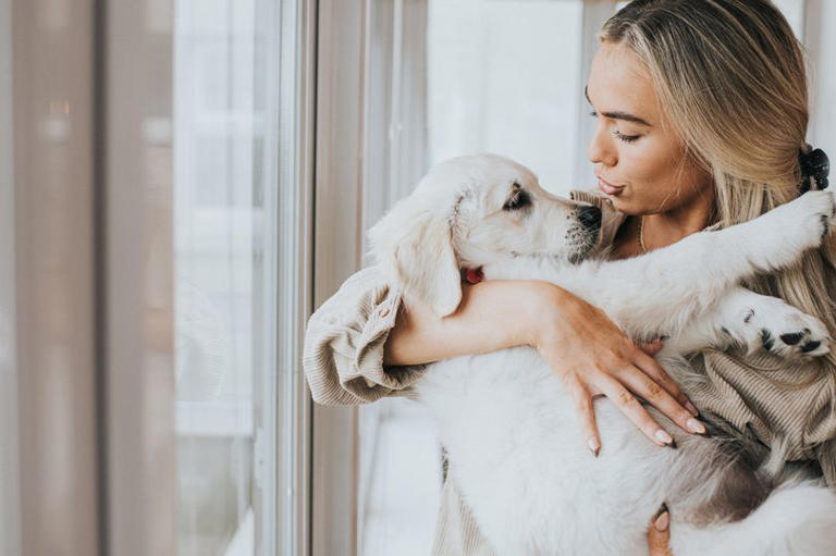 People who talk to dogs like humans exhibit these 7 traits ...