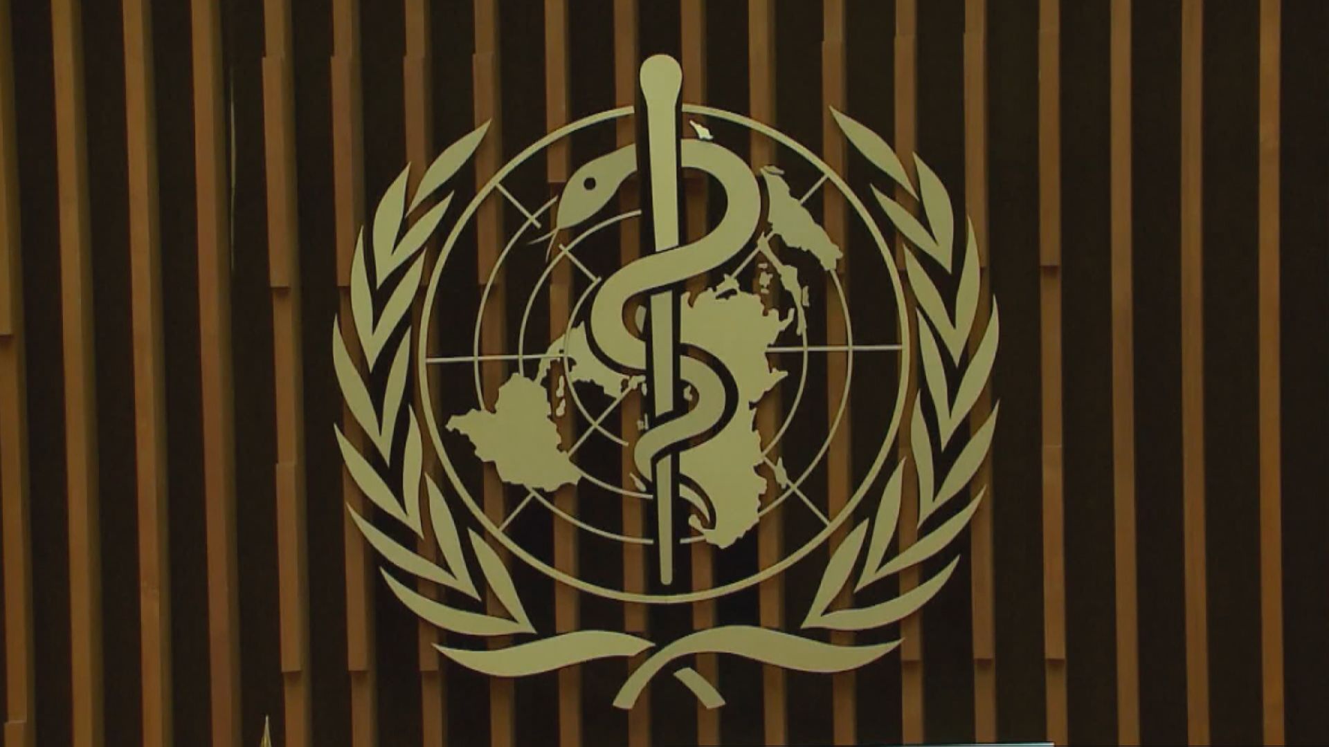 Trump administration considering WHO reform, report says